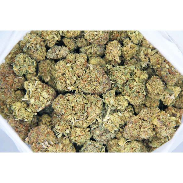 Incredible Hulk Strain Guide 101: Everything You Need to Know