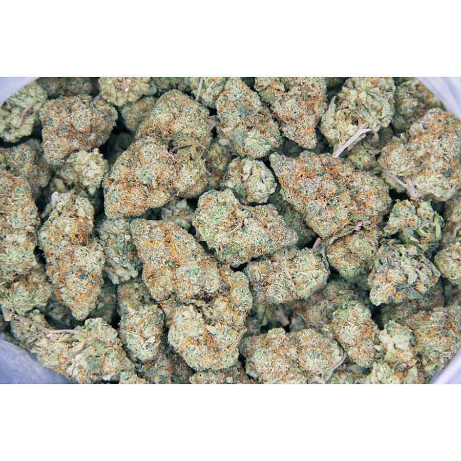 Incredible Hulk Strain Guide 101: Everything You Need to Know