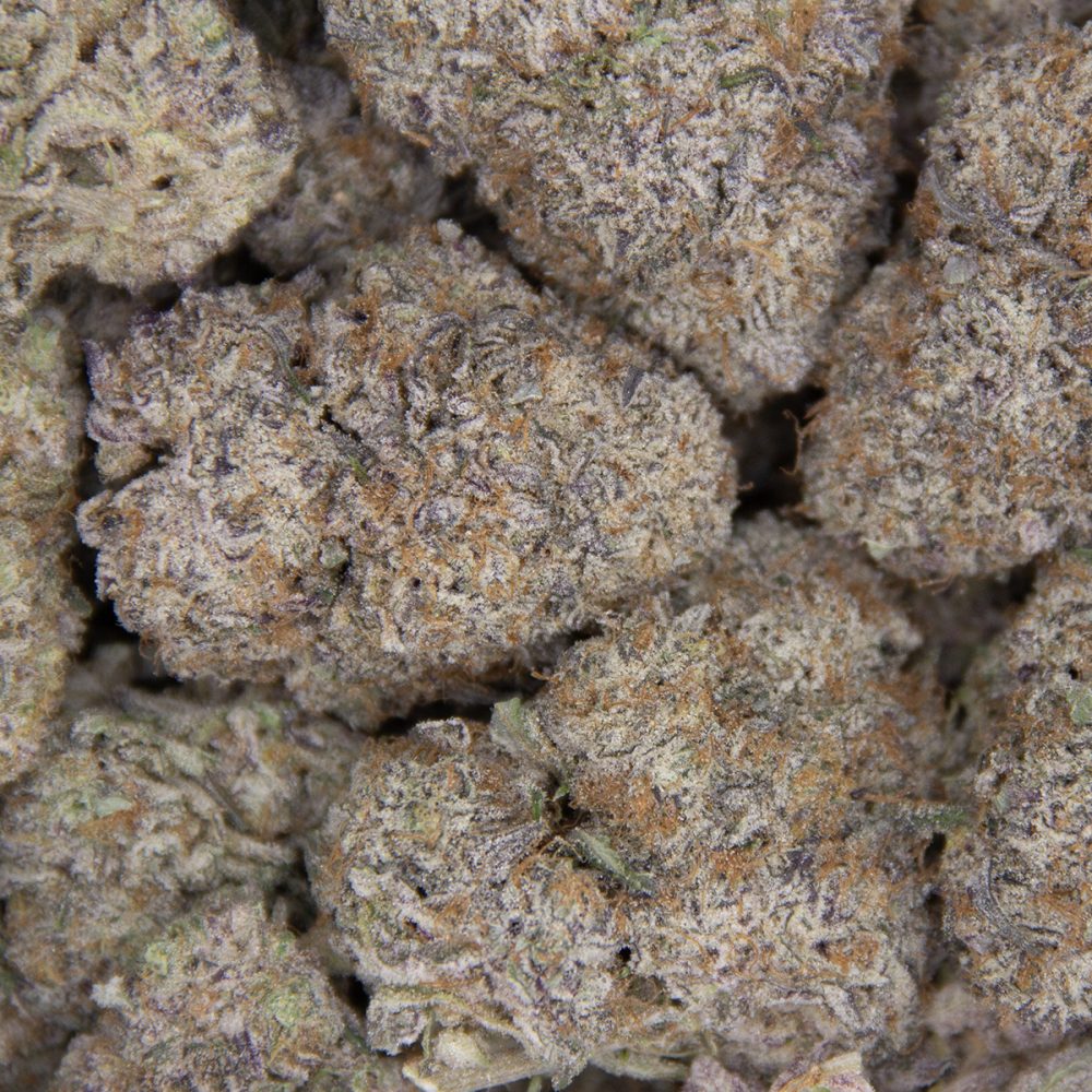 Grape Stomper AAA | Budget Greens