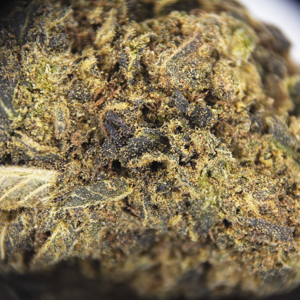 Grandmaster Kush AA | Budget Greens