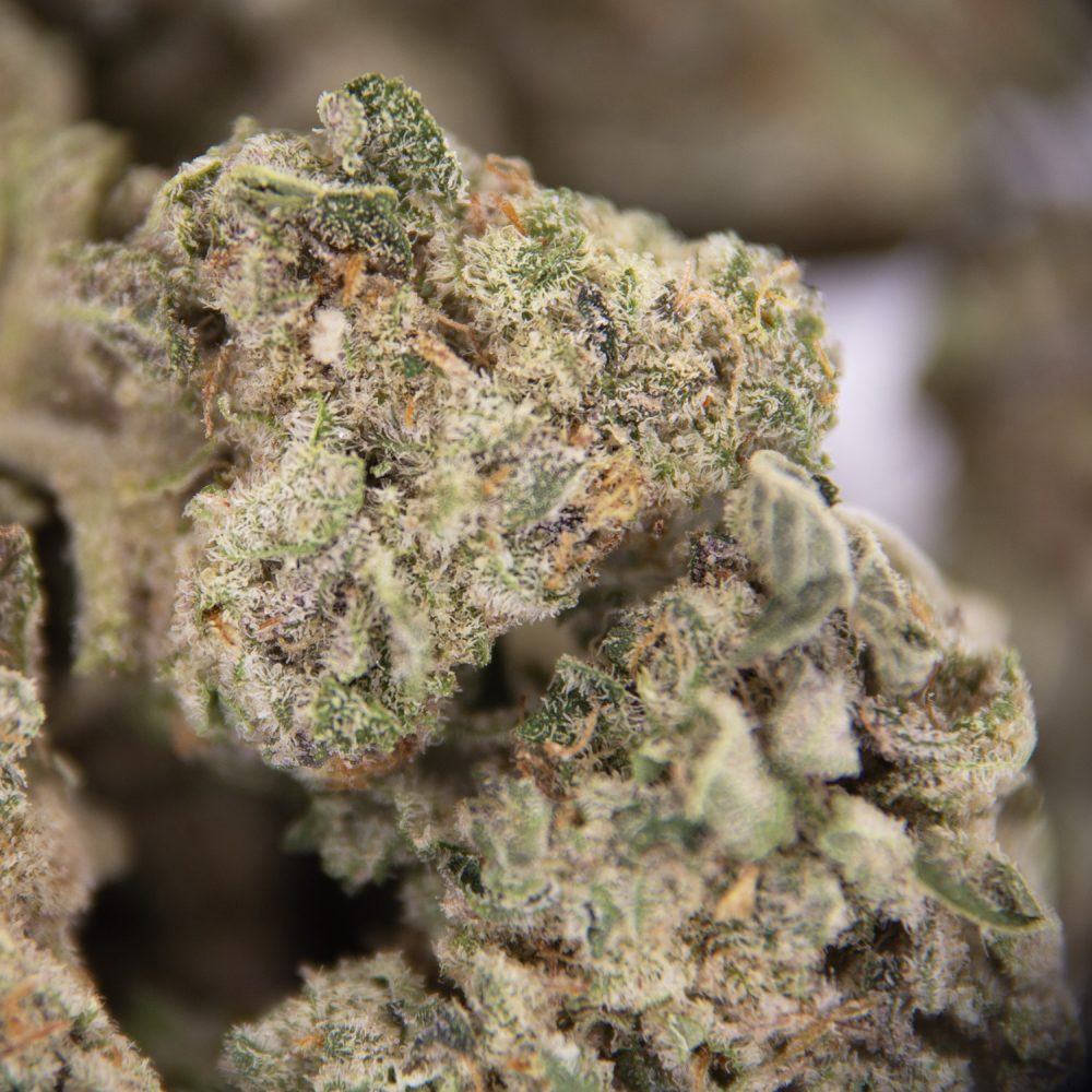 Trainwreck AA | Budget Greens