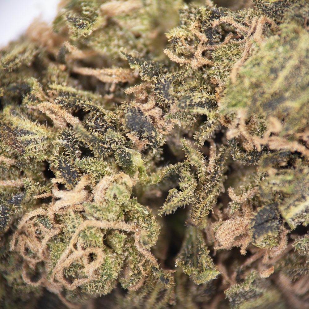 Deadhead OG AA - Budget Greens