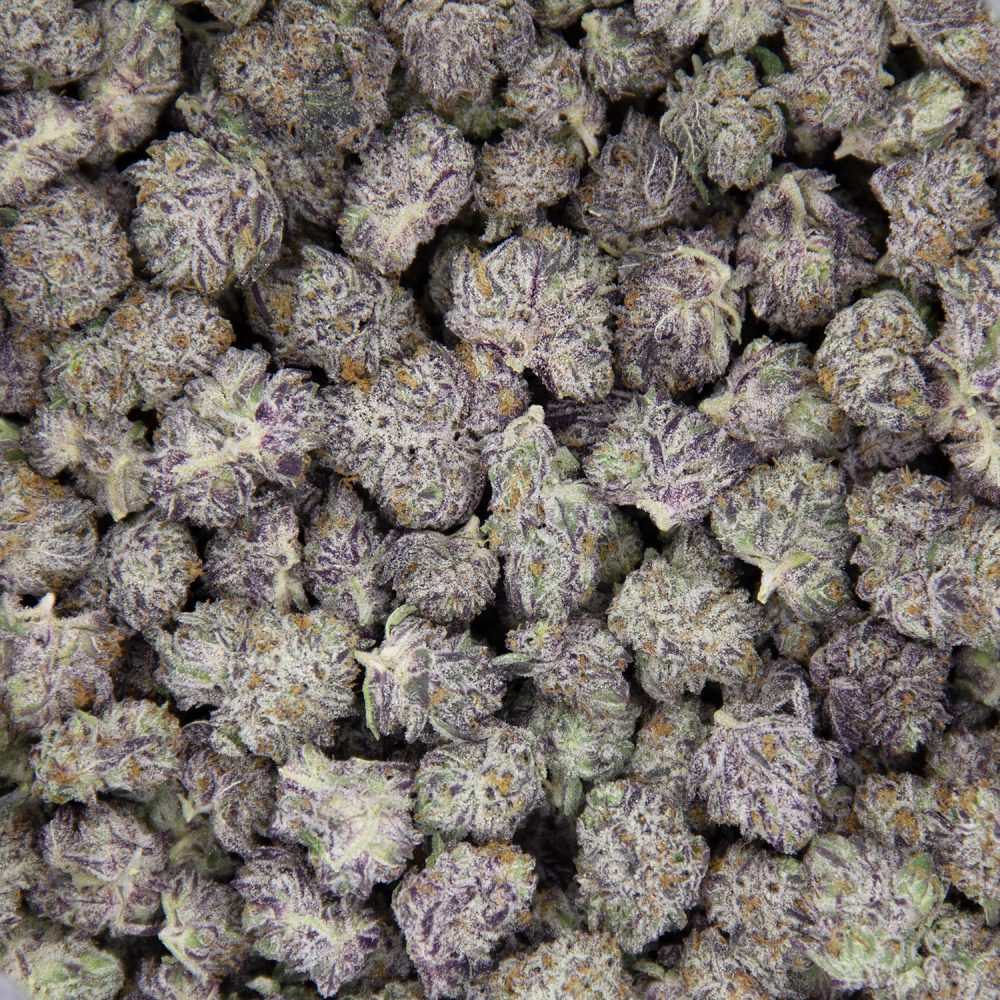 Platinum Gucci (smalls) AAAA - Budget Greens