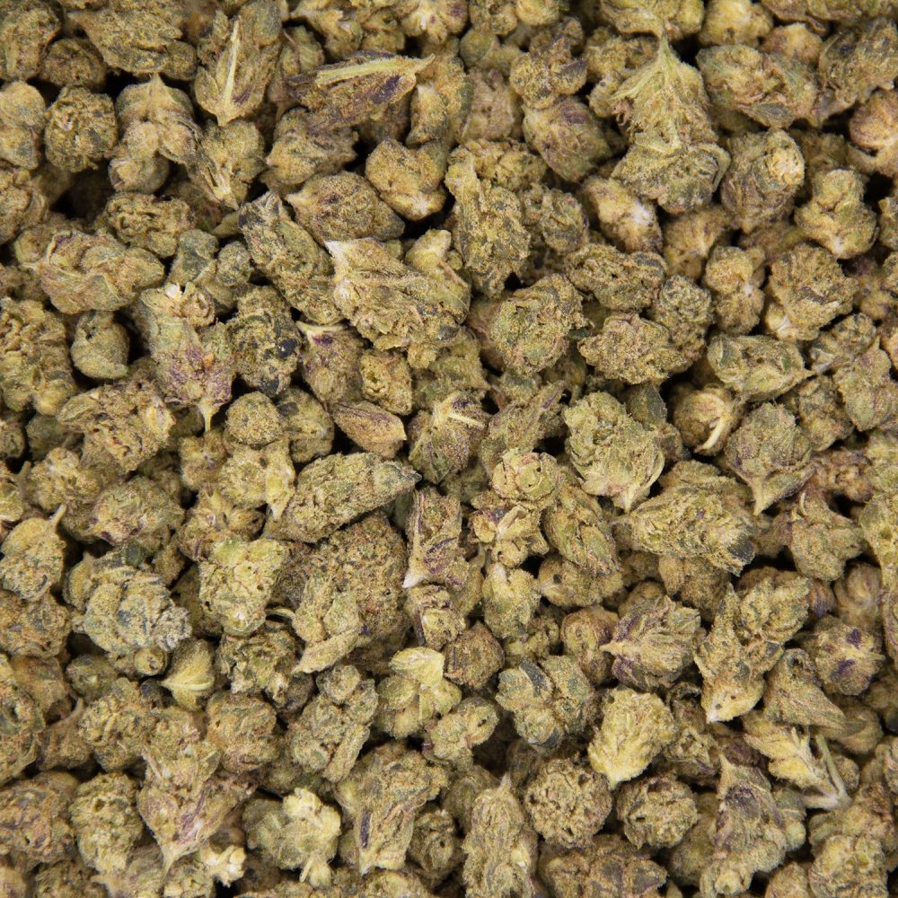 Electric Grape (popcorn) AA - Budget Greens